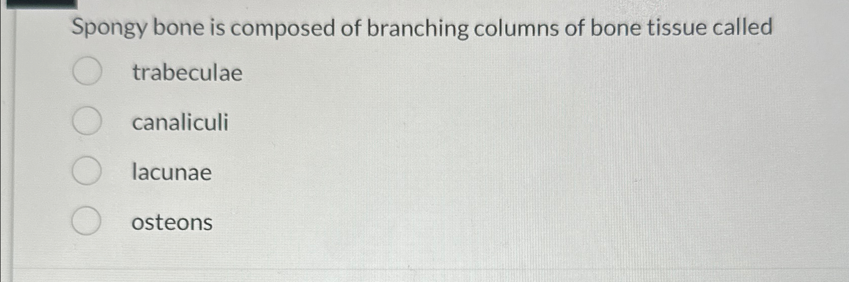 Solved Spongy bone is composed of branching columns of bone | Chegg.com