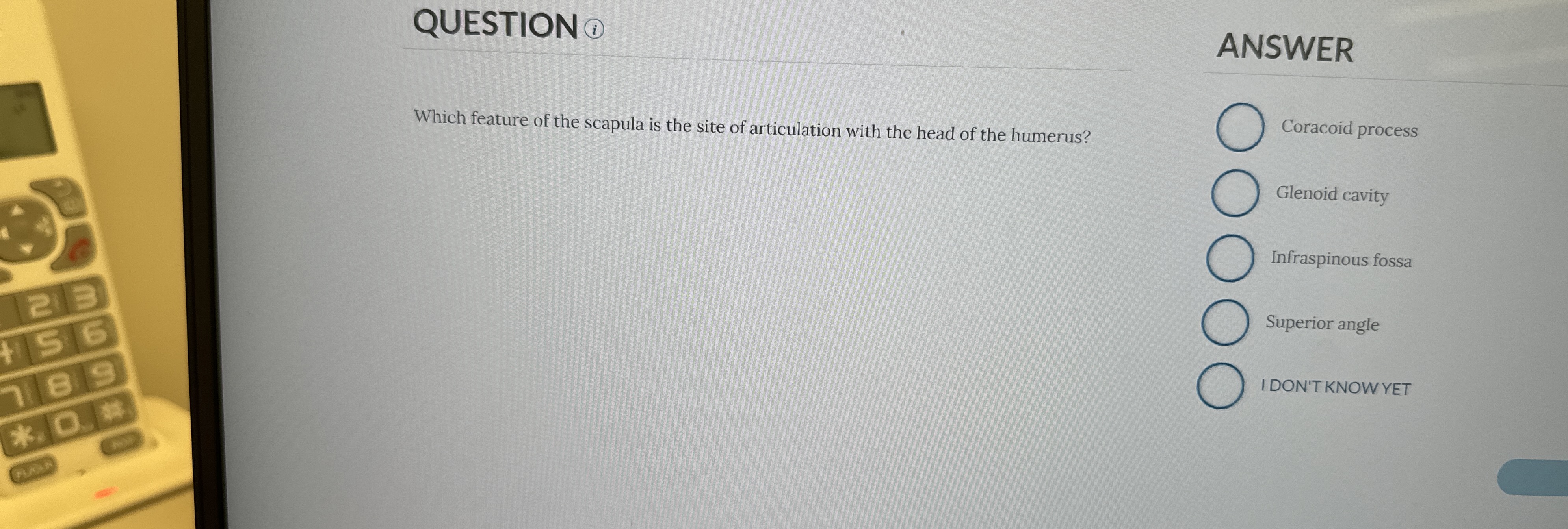 Solved QUESTIONWhich feature of the scapula is the site of | Chegg.com