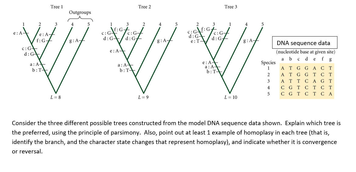Solved Consider the three different possible trees | Chegg.com Solved Consider the three different possible trees | Chegg.com