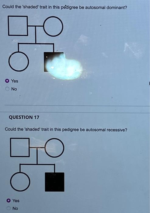 Solved Could the 'shaded' trait in this pedigree be | Chegg.com