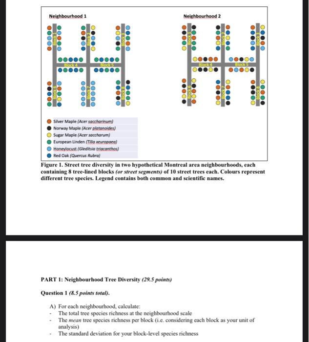 containing 8 tree-lined blocks (or street segments) | Chegg.com
