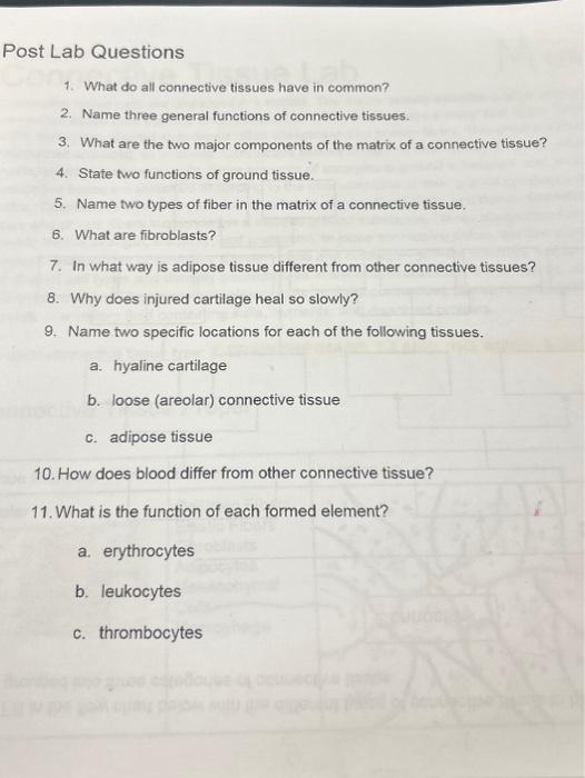 Solved Post Lab Questions 1. What do all connective tissues | Chegg.com