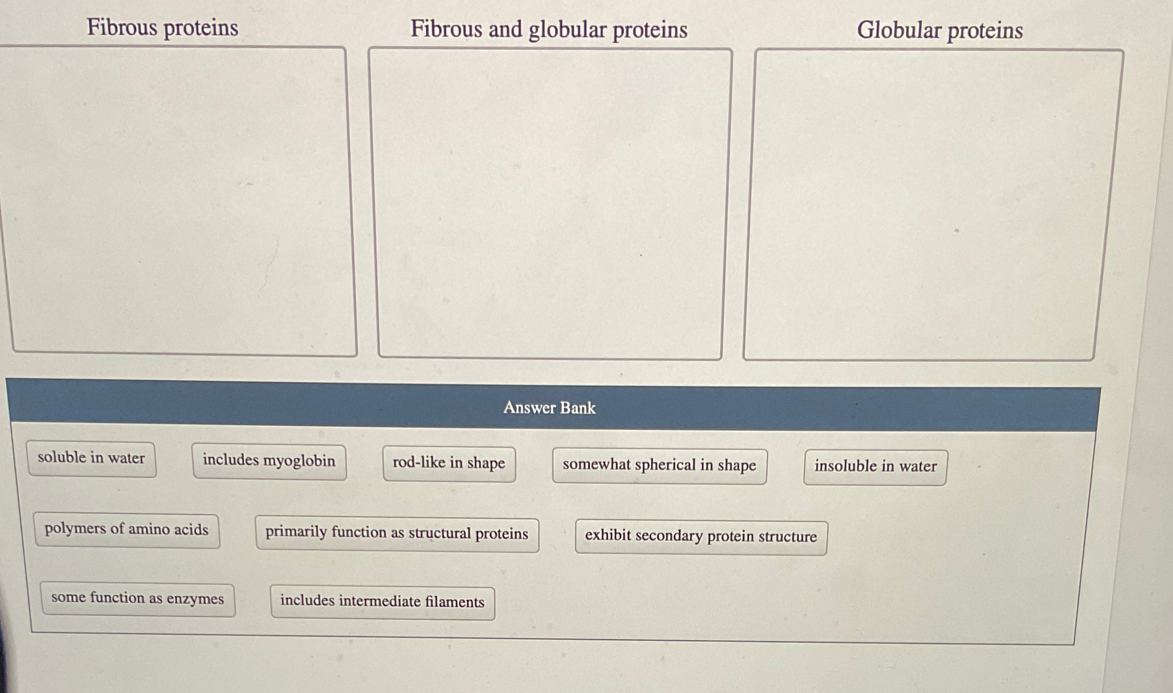 Solved Fibrous proteinsFibrous and globular proteinsGlobular | Chegg.com
