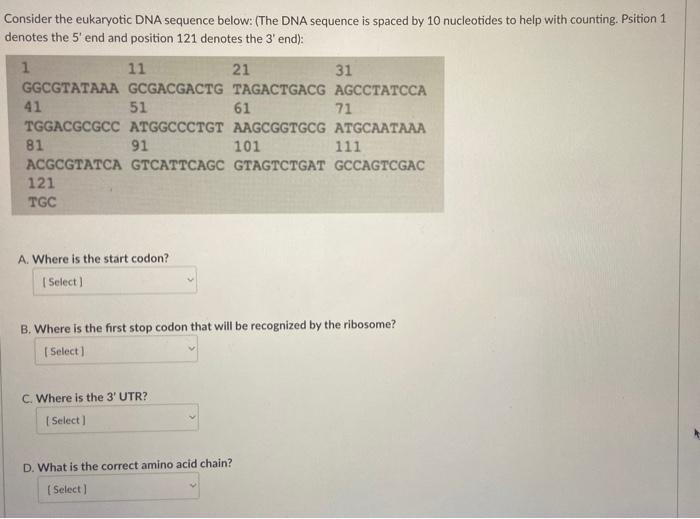 Solved Consider the eukaryotic DNA sequence below: (The DNA | Chegg.com