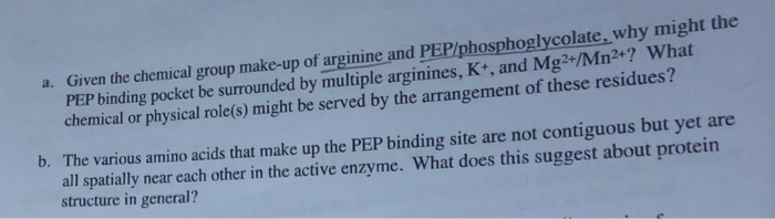 Solved 3. The image right site of human RBC pyruvate kinase | Chegg.com