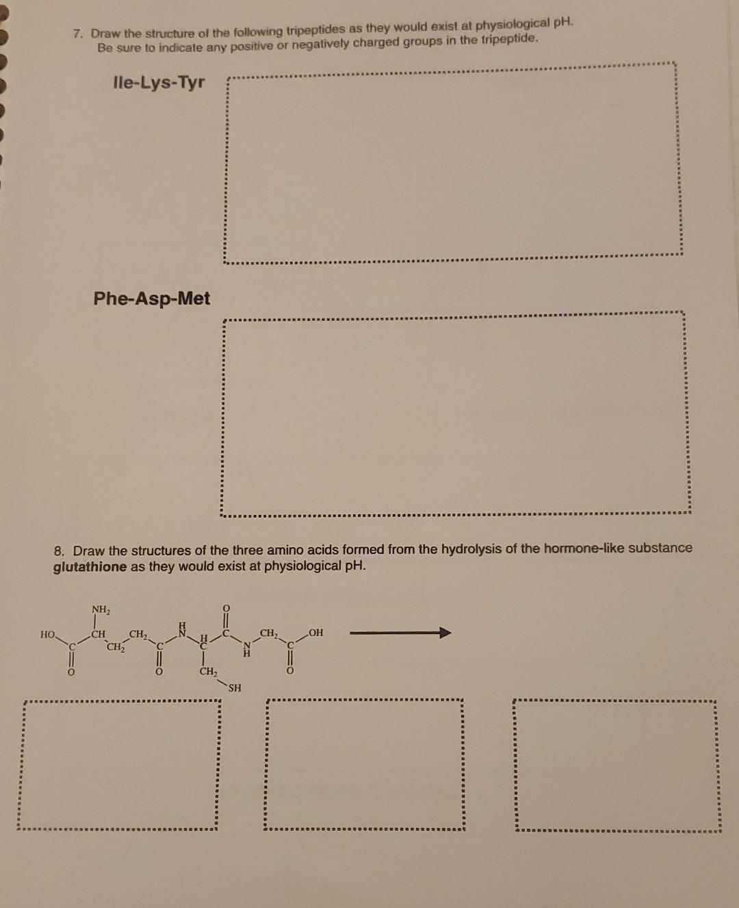 Solved 7. Draw the structure of the following tripeptides as | Chegg.com