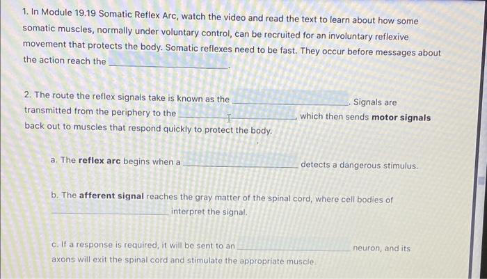 Solved 1. In Module 19.19 Somatic Reflex Arc, watch the | Chegg.com