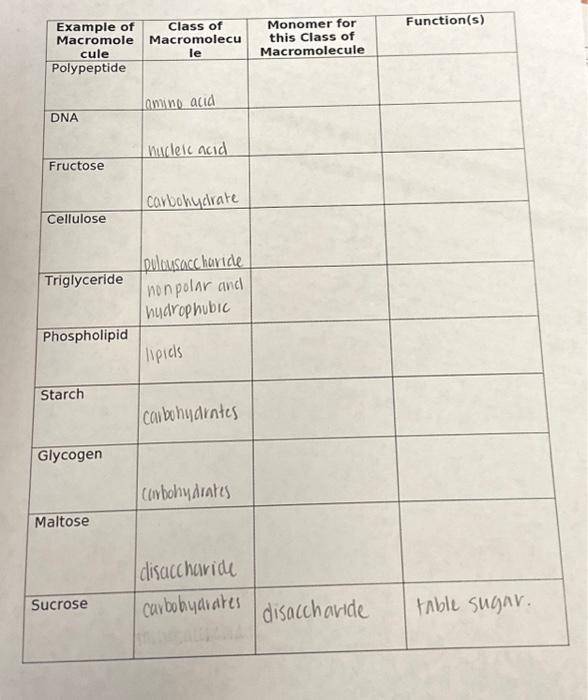 Solved Example of Class of Macromole Macromolecu le cule | Chegg.com