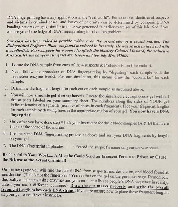 EXERCISE 13-3: WHO DUNNIT? When restriction enzymes | Chegg.com