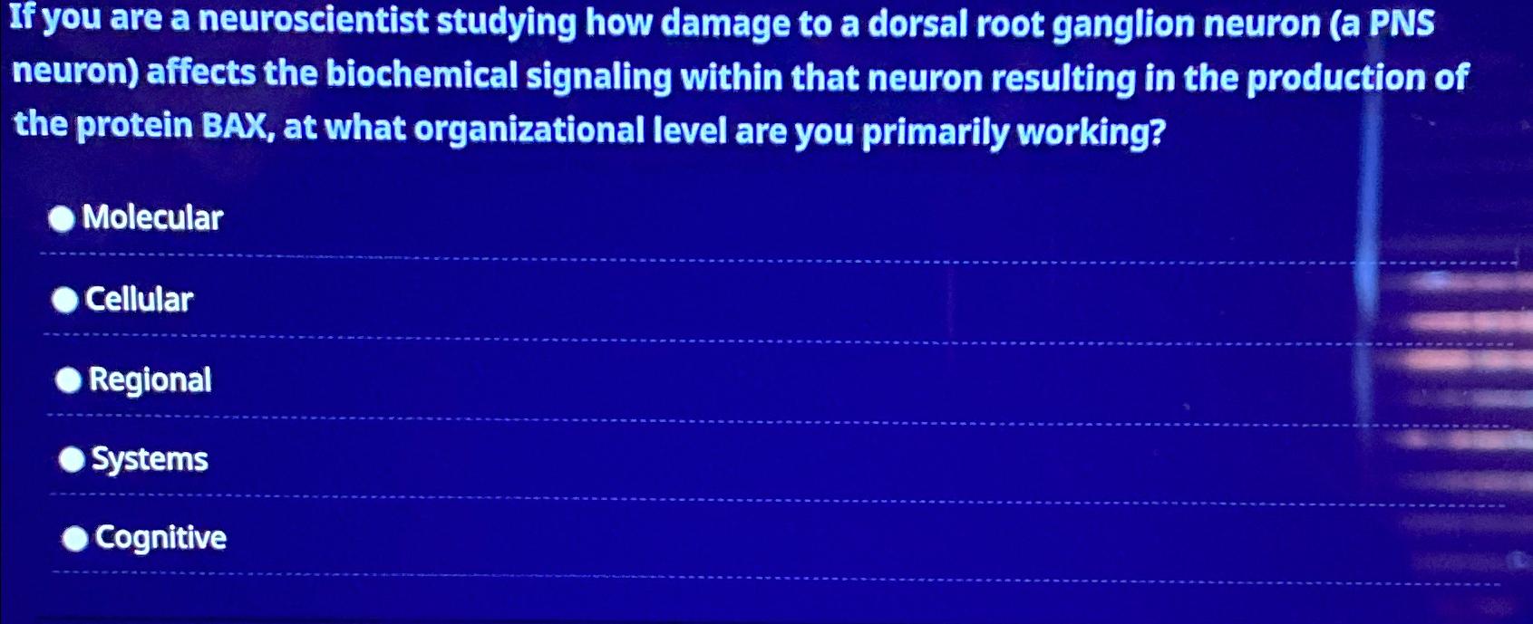Solved If you are a neuroscientist studying how damage to a | Chegg.com