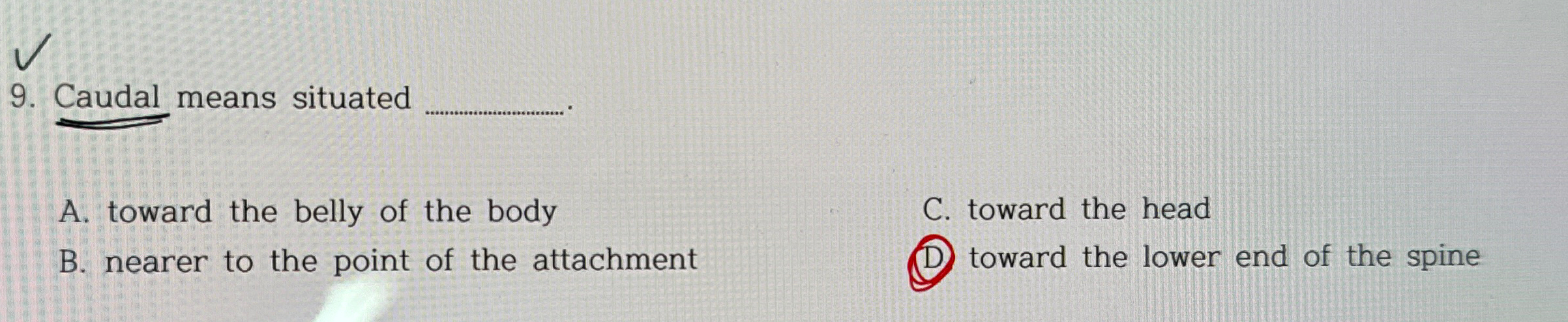 Solved Caudal means situated q,A. ﻿toward the belly of the | Chegg.com