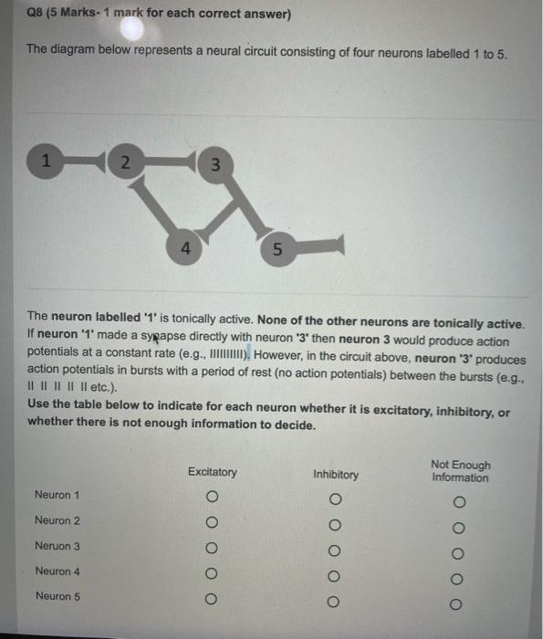 Solved The neuron labelled '1' is tonically active. None of | Chegg.com