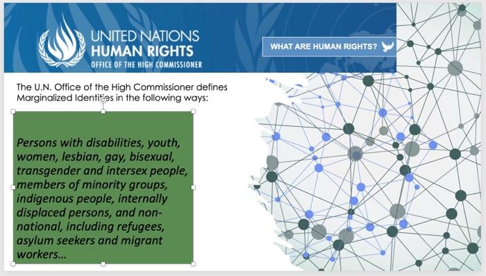 Solved The Other The Other The Other is an individual who is | Chegg.com