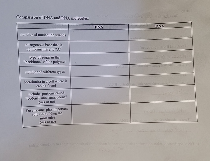 Solved Comparison of DNA and RNA | Chegg.com