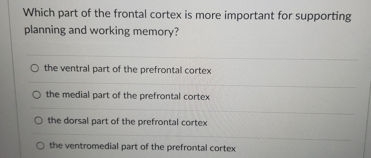Solved Which part of the frontal cortex is more important | Chegg.com