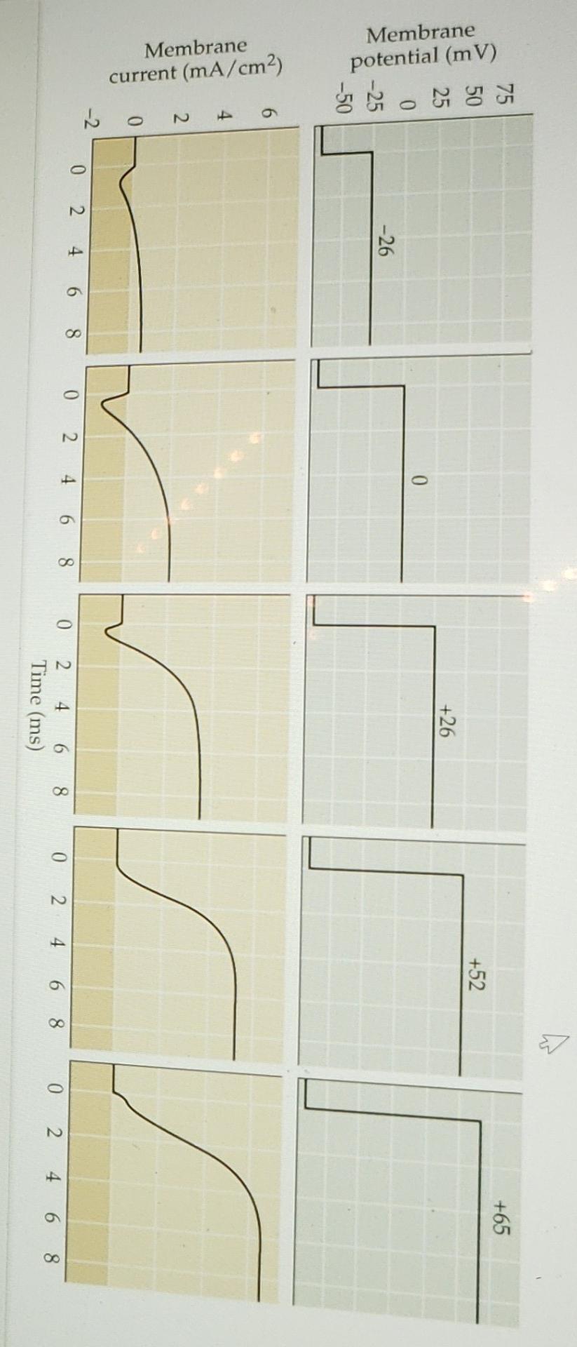 Which of the following is the key event at the | Chegg.com