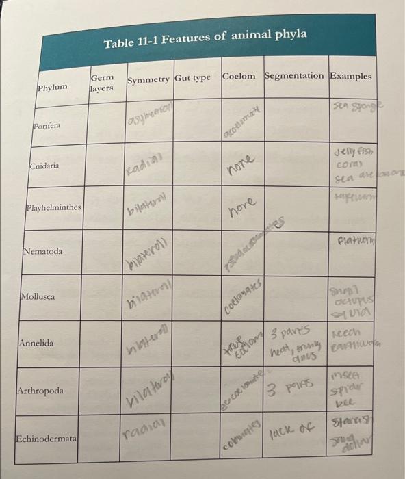 Solved Table 11-1 Features of animal phyla | Chegg.com