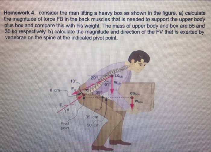 Solved Homework 4. consider the man lifting a heavy box as | Chegg.com