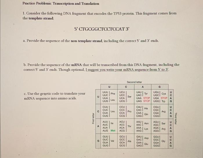 Solved Practice Problems: Transcription and Translation 1. | Chegg.com