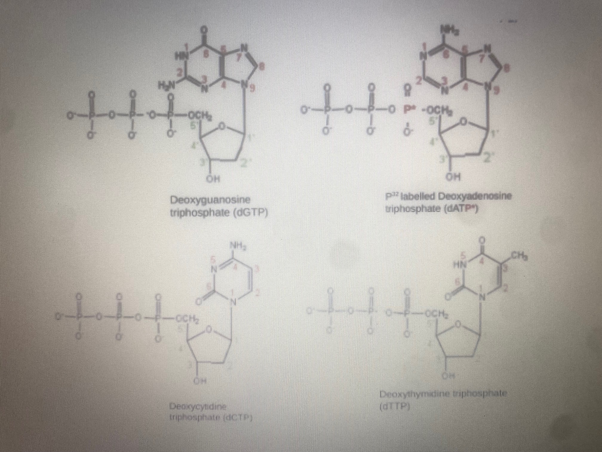Solved Consider the sequence of the following segment of | Chegg.com