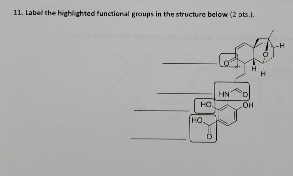 Solved 11. Label the highlighted functional groups in the | Chegg.com