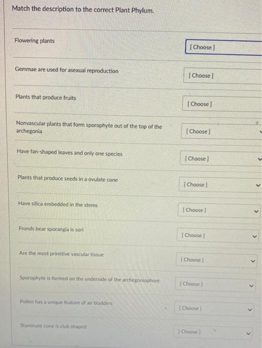 Solved Match the description to the correct Plant Phylum. | Chegg.com