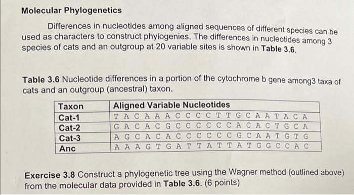 Molecular Phylogenetics Differences in nucleotides | Chegg.com
