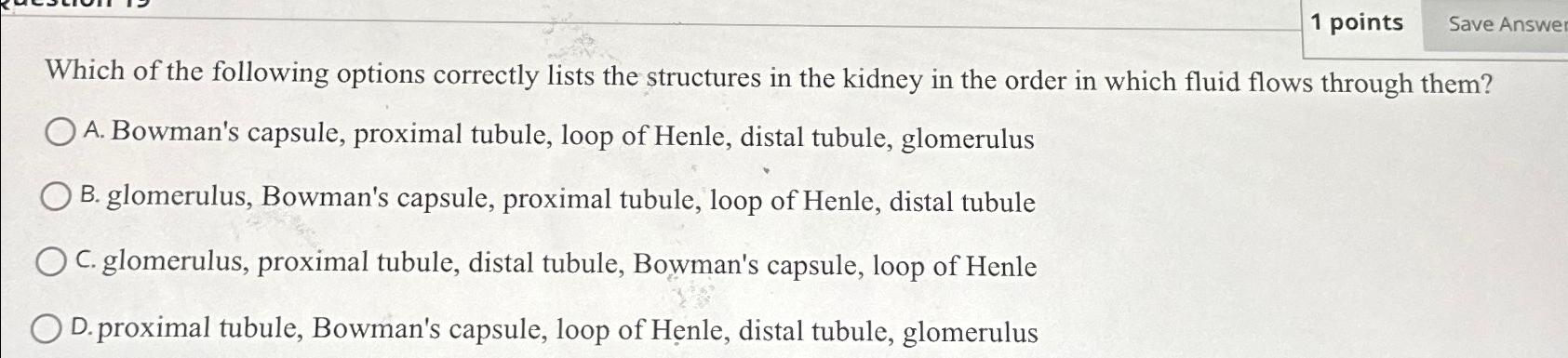 Solved 1 ﻿pointsWhich of the following options correctly | Chegg.com