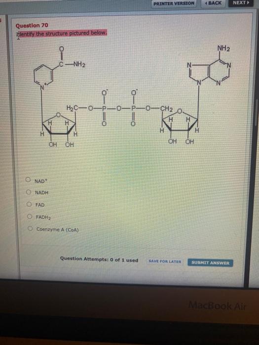Solved PRINTER VERSTON | Chegg.com