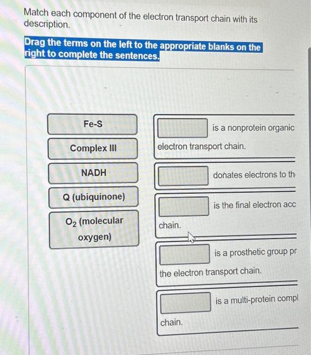 Solved Match each component of the electron transport chain | Chegg.com Solved Match each component of the electron transport chain | Chegg.com
