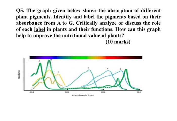 Solved Q5. The graph given below shows the absorption of | Chegg.com