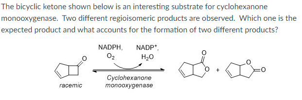 Solved The bicyclic ketone shown below is an interesting | Chegg.com
