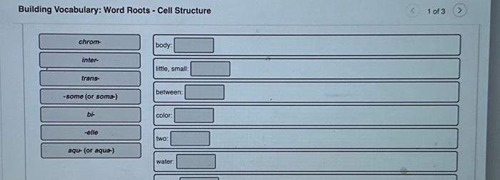 Building Vocabulary: Word Roots - Cell Structure | Chegg.com