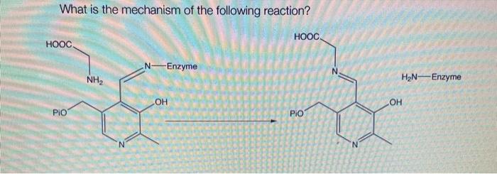Solved What is the mechanism of the following reaction? HOOC | Chegg.com
