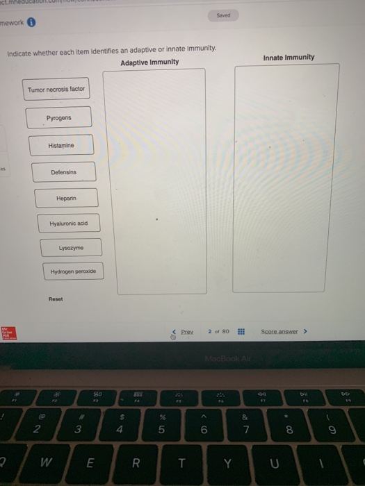 Solved ctmheduCULUM Saved mework Indicate whether each item | Chegg.com