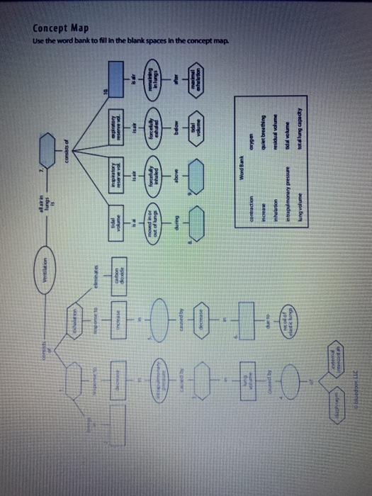 Solved allarin lungs consists of con esponse to Bar Concept | Chegg.com