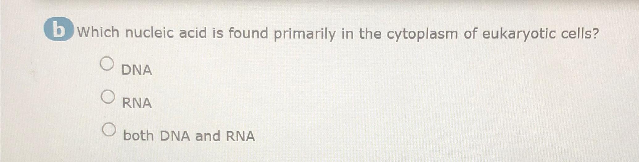 Solved Which nucleic acid is found primarily in the | Chegg.com
