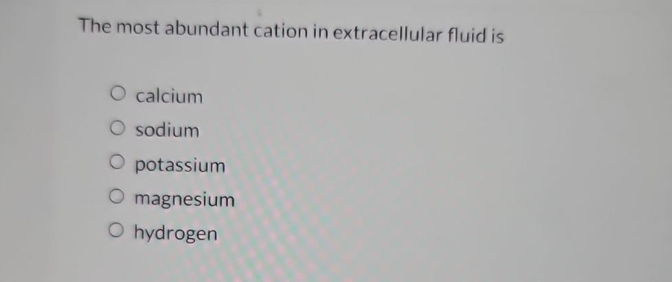 Solved The most abundant cation in extracellular fluid | Chegg.com