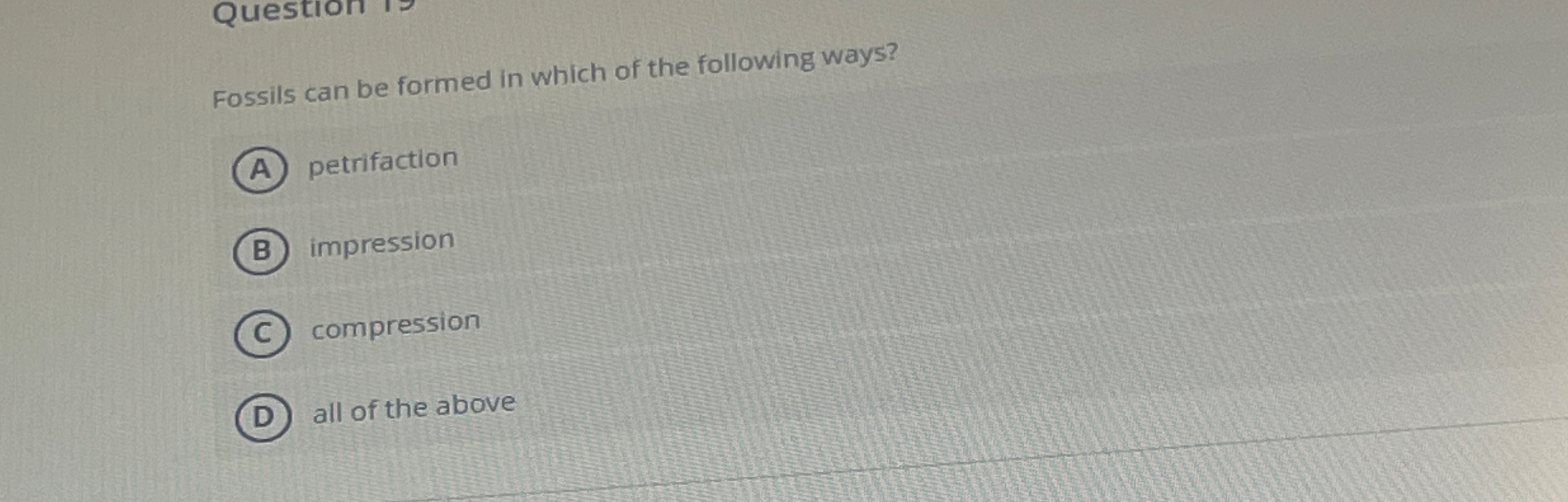 Solved Fossils can be formed in which of the following | Chegg.com