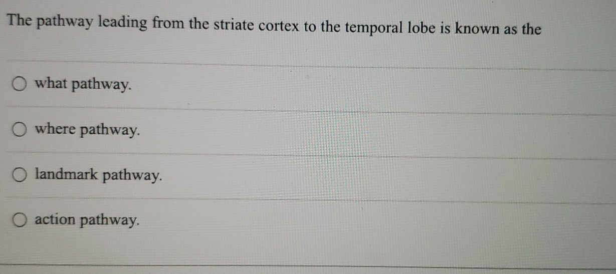 Solved The pathway leading from the striate cortex to the | Chegg.com
