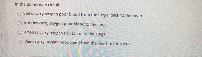 Solved In the pulmonary circuit Veins carry oxygen poor | Chegg.com