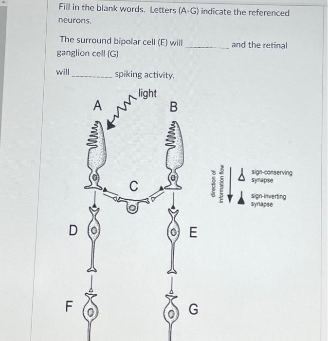 Solved Fill in the blank words. Letters (A-G) indicate the | Chegg.com