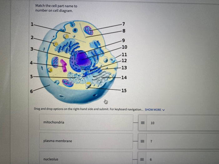 Solved Questi Exercise 4: Post Lab Question 1 Homework. | Chegg.com