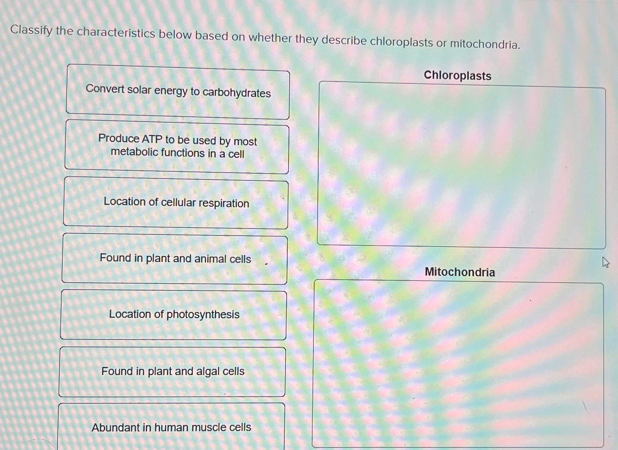 Solved Classify the characteristics below based on whether | Chegg.com