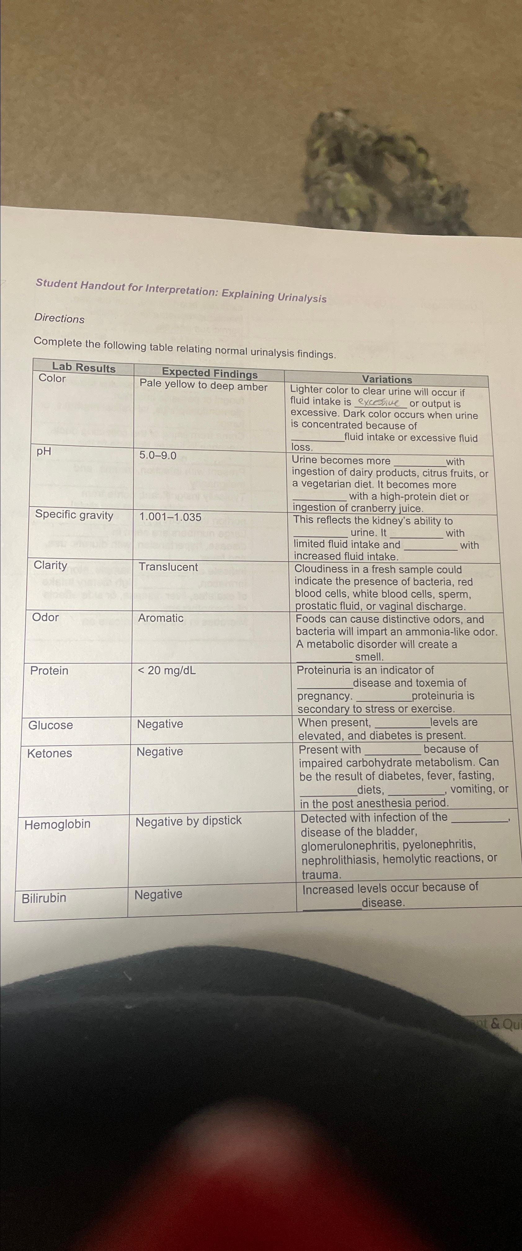 Solved Student Handout for Interpretation: Explaining | Chegg.com