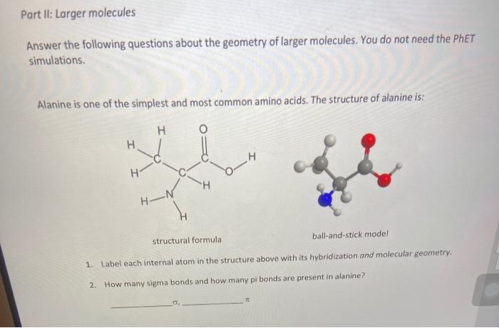 Solved Part II: Larger molecules Answer the following | Chegg.com Solved Part II: Larger molecules Answer the following | Chegg.com