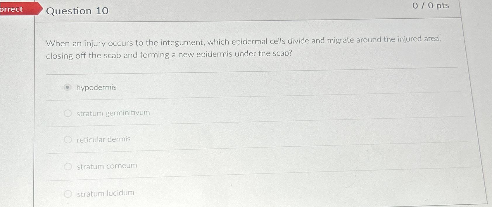 Solved Question 1000 ﻿ptsWhen an injury occurs to the | Chegg.com