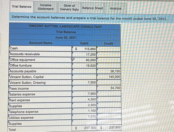 Solved The accountant for the firm owned by Vincent Sutton | Chegg.com