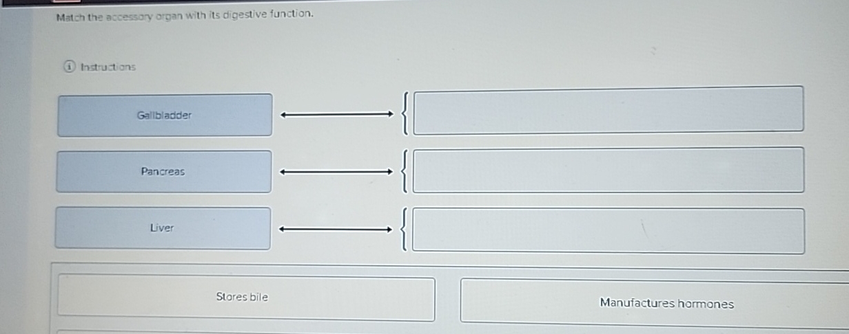Solved Match the accessory organ with its digestive | Chegg.com