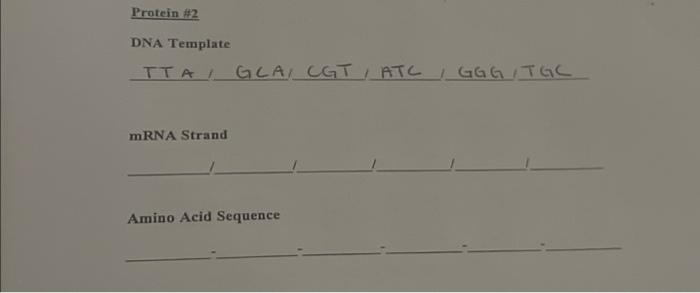 Solved Protein 122 DNA Template TTA, GCA, CGT, ATC, GGG,TGC | Chegg.com